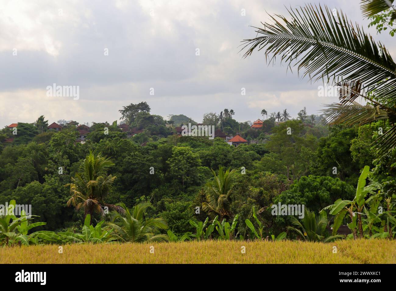 Discover the beauty of Indonesia's landscapes Stock Photo - Alamy