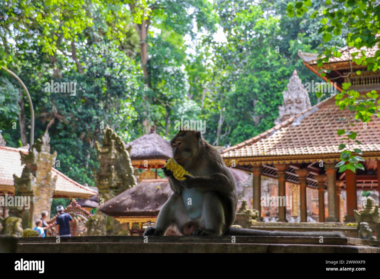 Discover the beauty of Indonesia's landscapes Stock Photo - Alamy