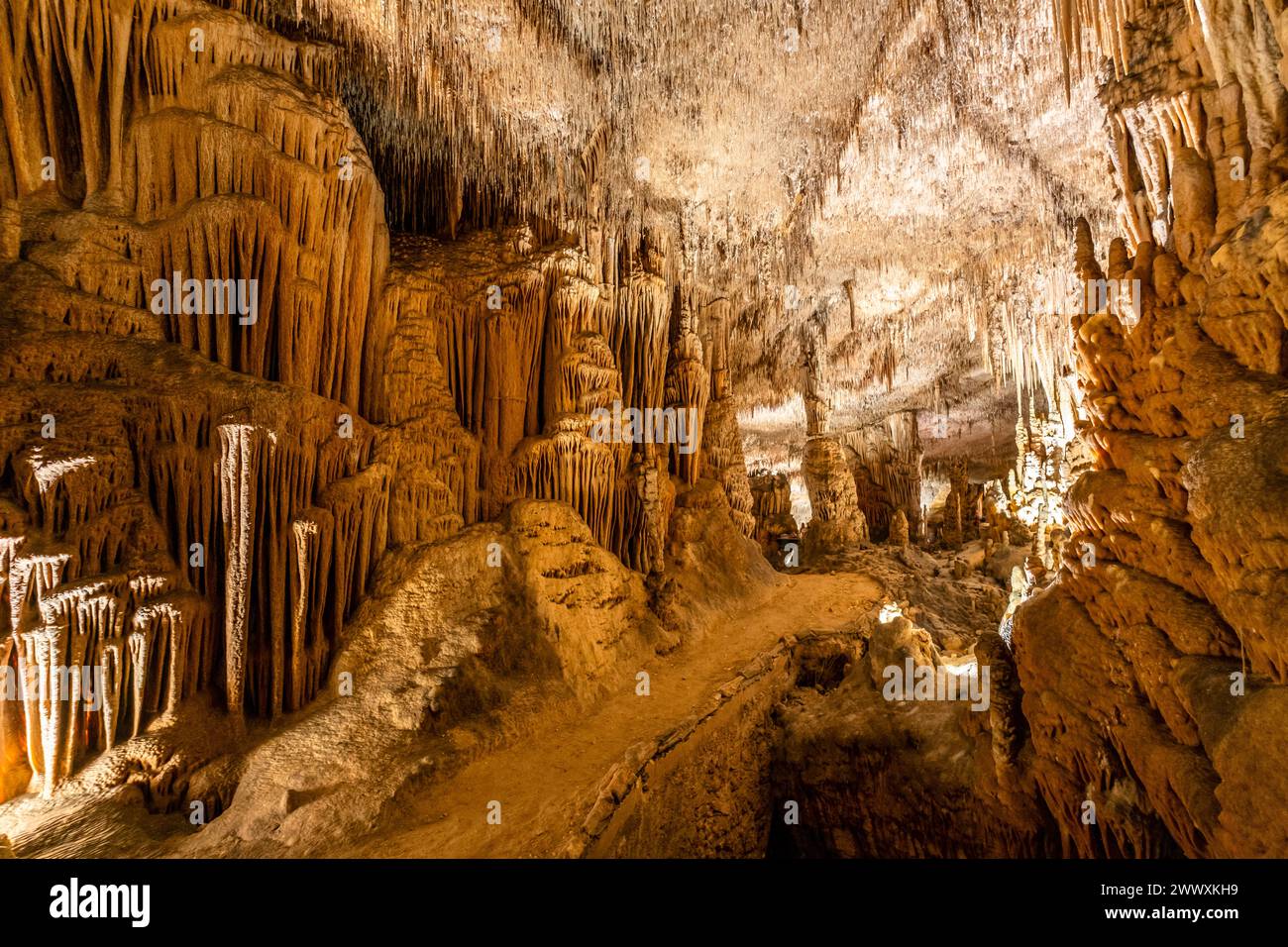 amazing photos of Drach Caves in Mallorca, Spain, Europe Stock Photo ...