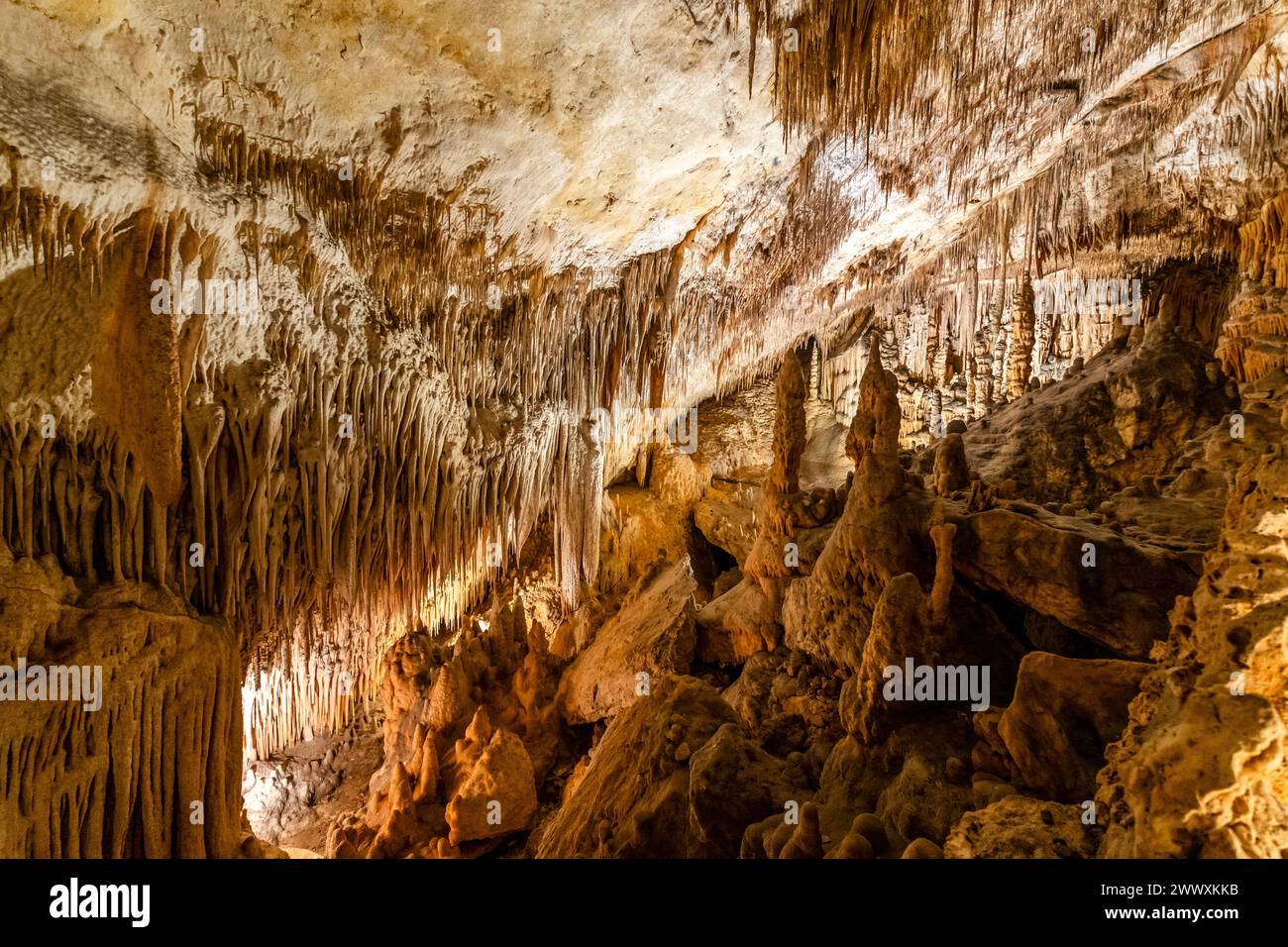 amazing photos of Drach Caves in Mallorca, Spain, Europe Stock Photo ...