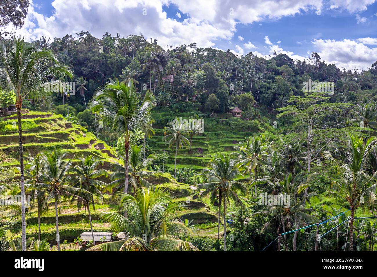 Discover the beauty of Indonesia's landscapes in Asia Stock Photo - Alamy