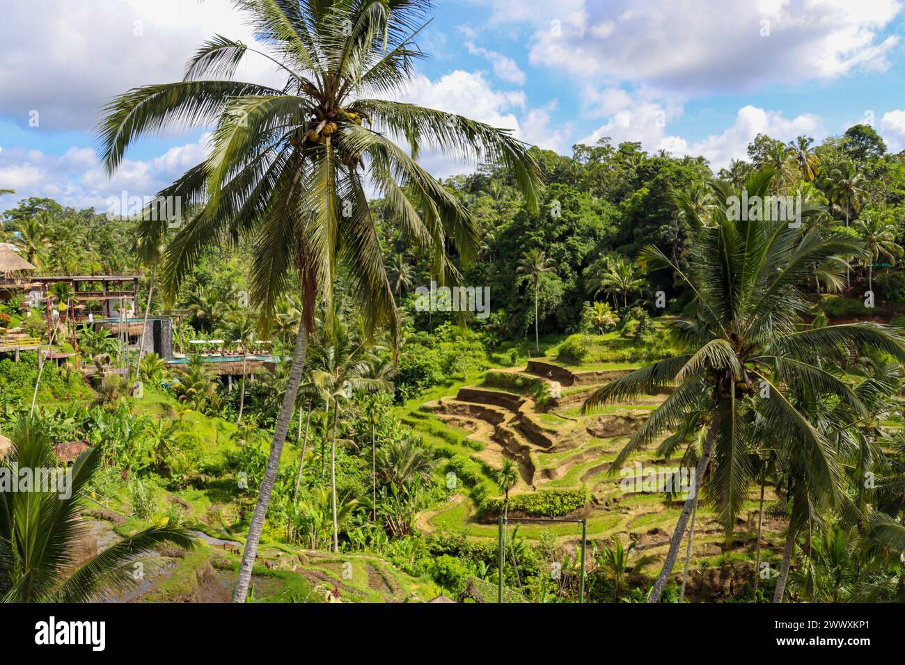 Discover the beauty of Indonesia's landscapes in Asia Stock Photo - Alamy