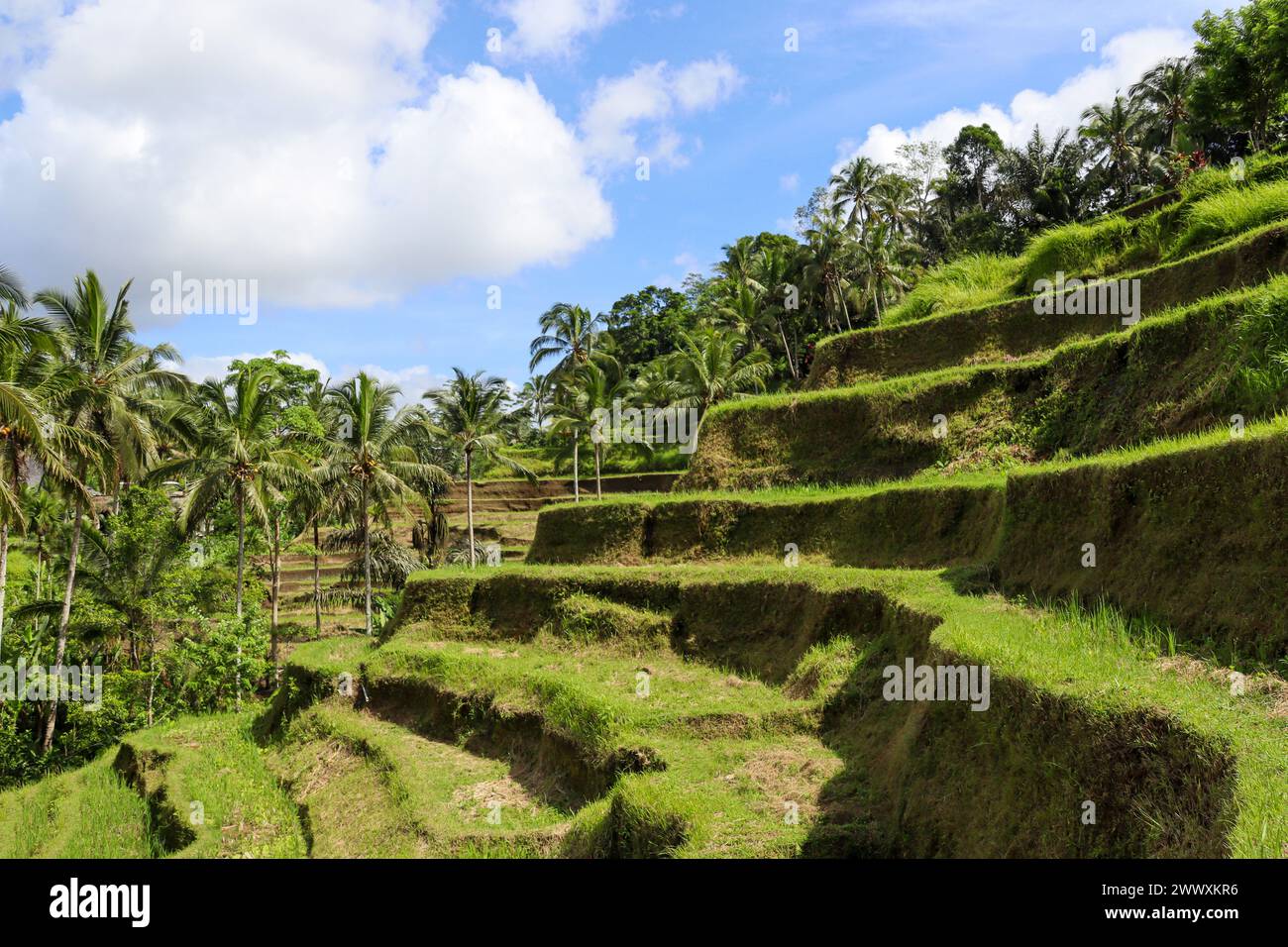 Discover the beauty of Indonesia's landscapes in Asia Stock Photo - Alamy