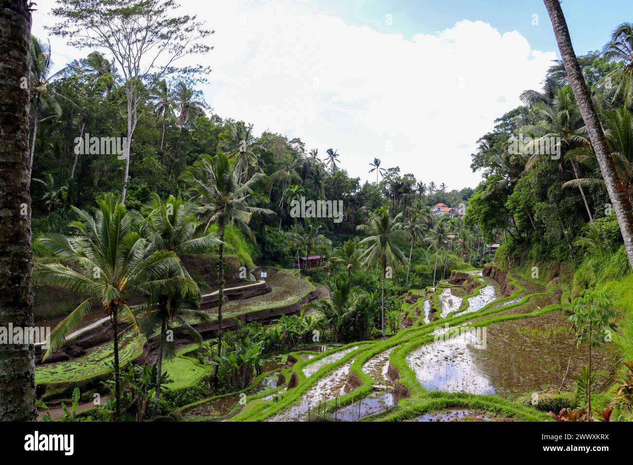 Discover the beauty of Indonesia's landscapes in Asia Stock Photo - Alamy