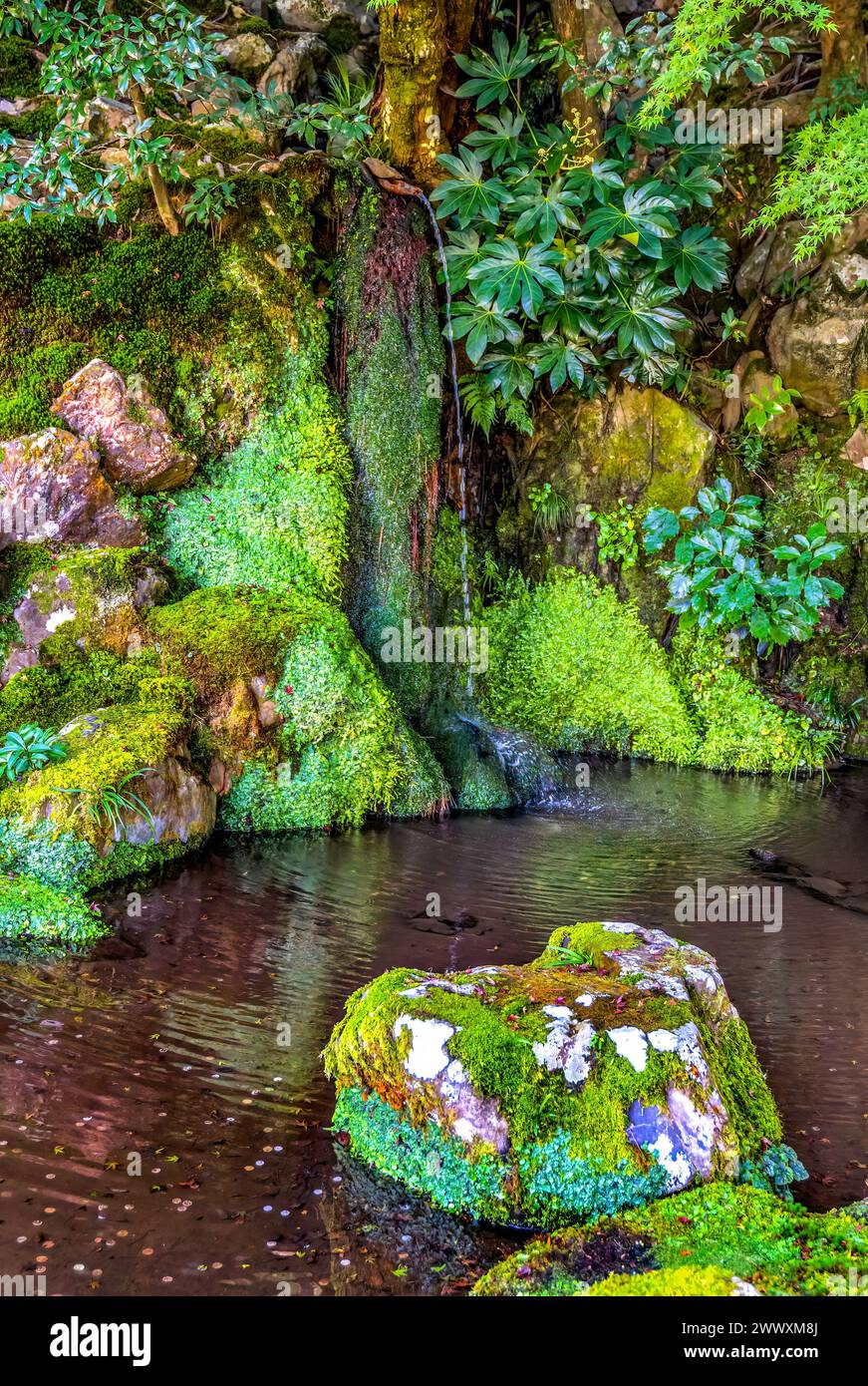Colorful Small Waterfall Garden Reflection Ginkakuji Silver Pavilion ...