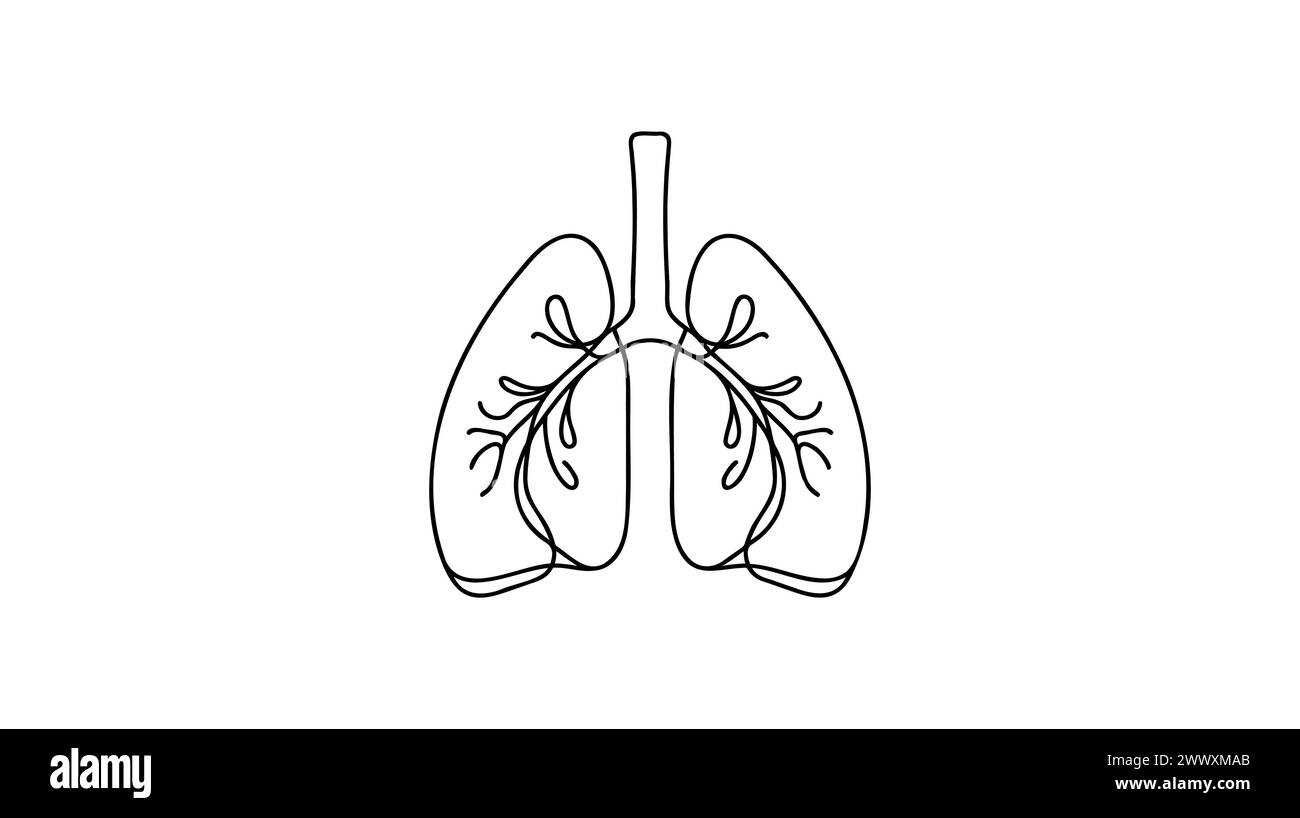 One continuous line drawing of anatomical human lungs organ. Dynamic ...