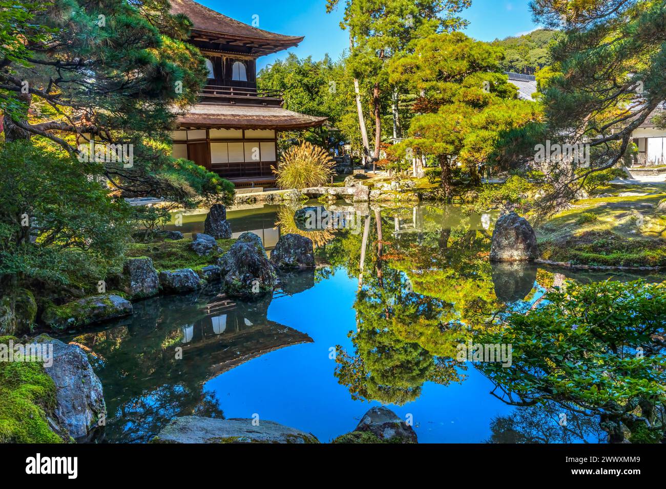 Colorful Fall Leaves Water Reflection Kannon Hall Ginkakuji Silver ...