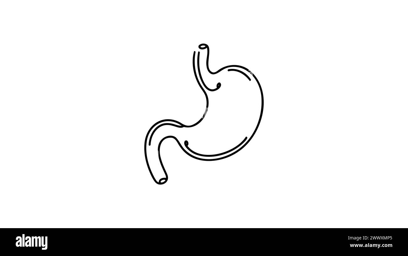 Single continuous line of Stomach. Line art of Stomach human organ ...