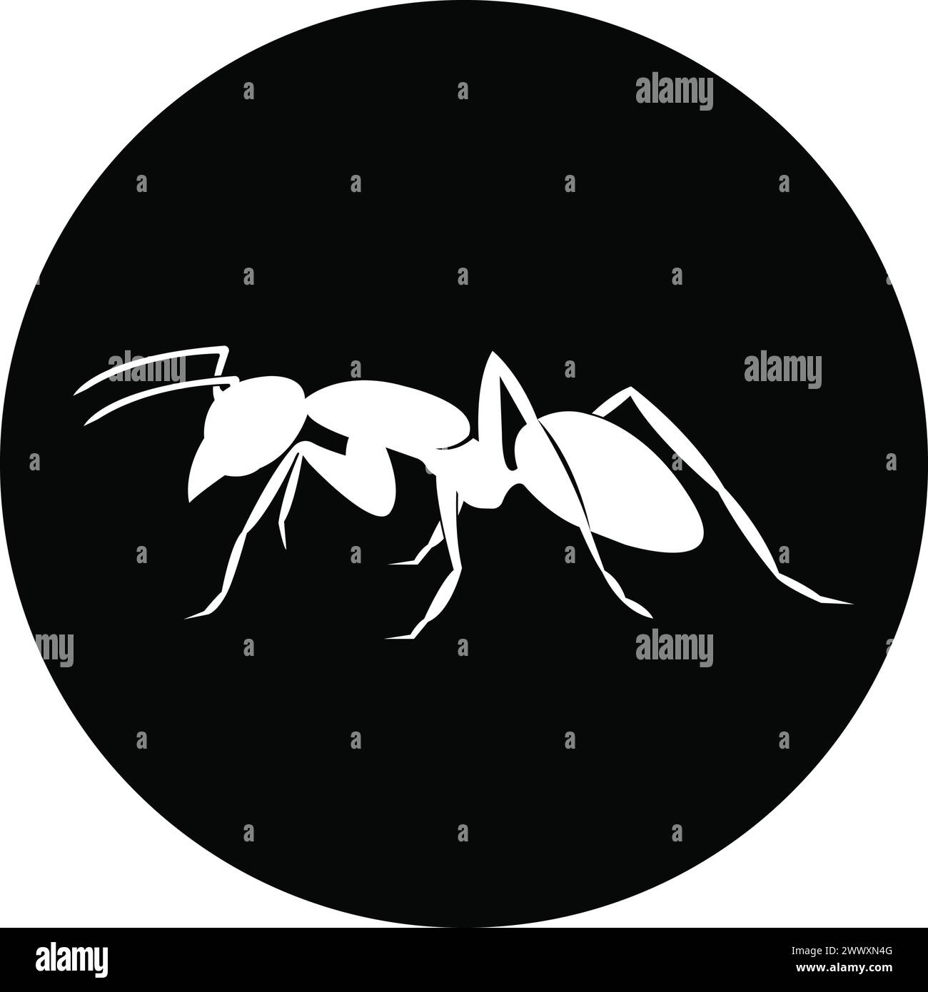 Ant and bird Stock Vector Images - Alamy