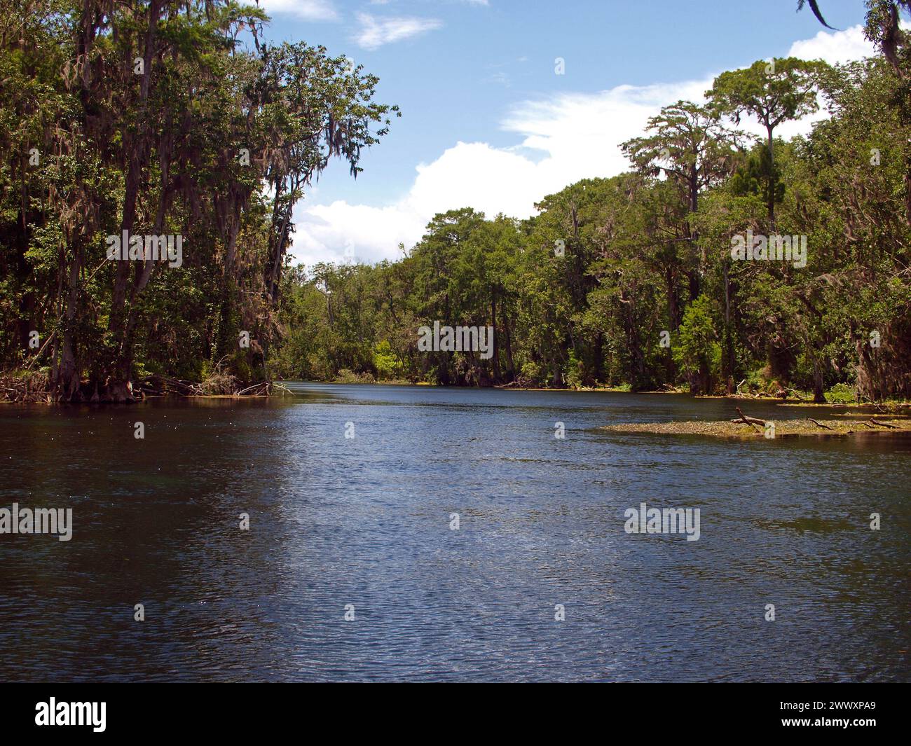 Florida tourism river jungle hi-res stock photography and images - Alamy