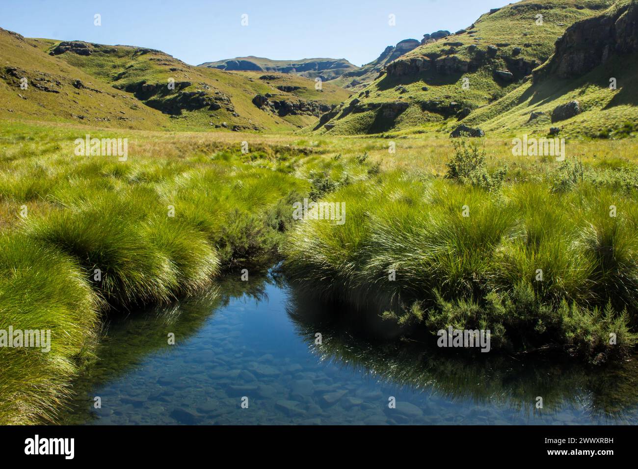 Hidden Marsh in the Drakensberg Mountains Stock Photo - Alamy