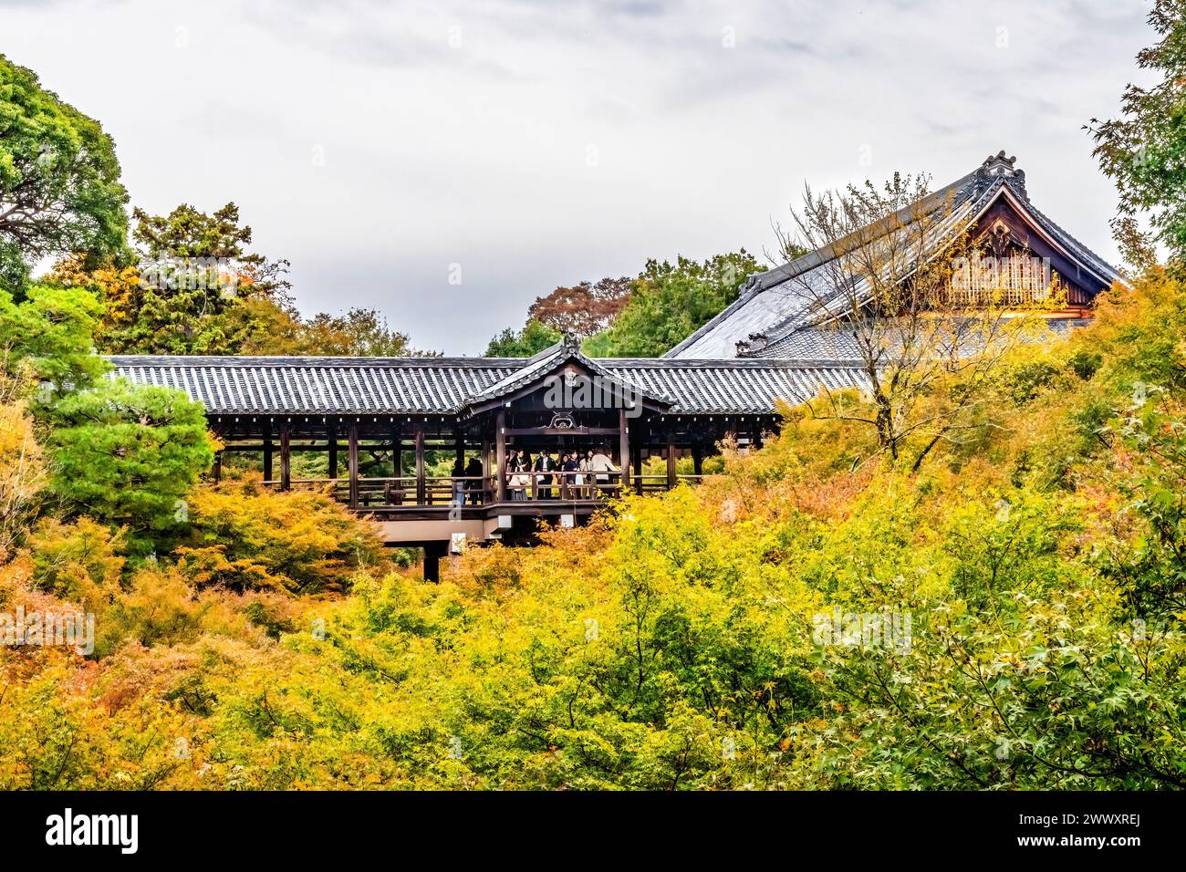 Coloful Platform Raining Walking Yellow Red Fall Leaves Green Tofuku-ji ...