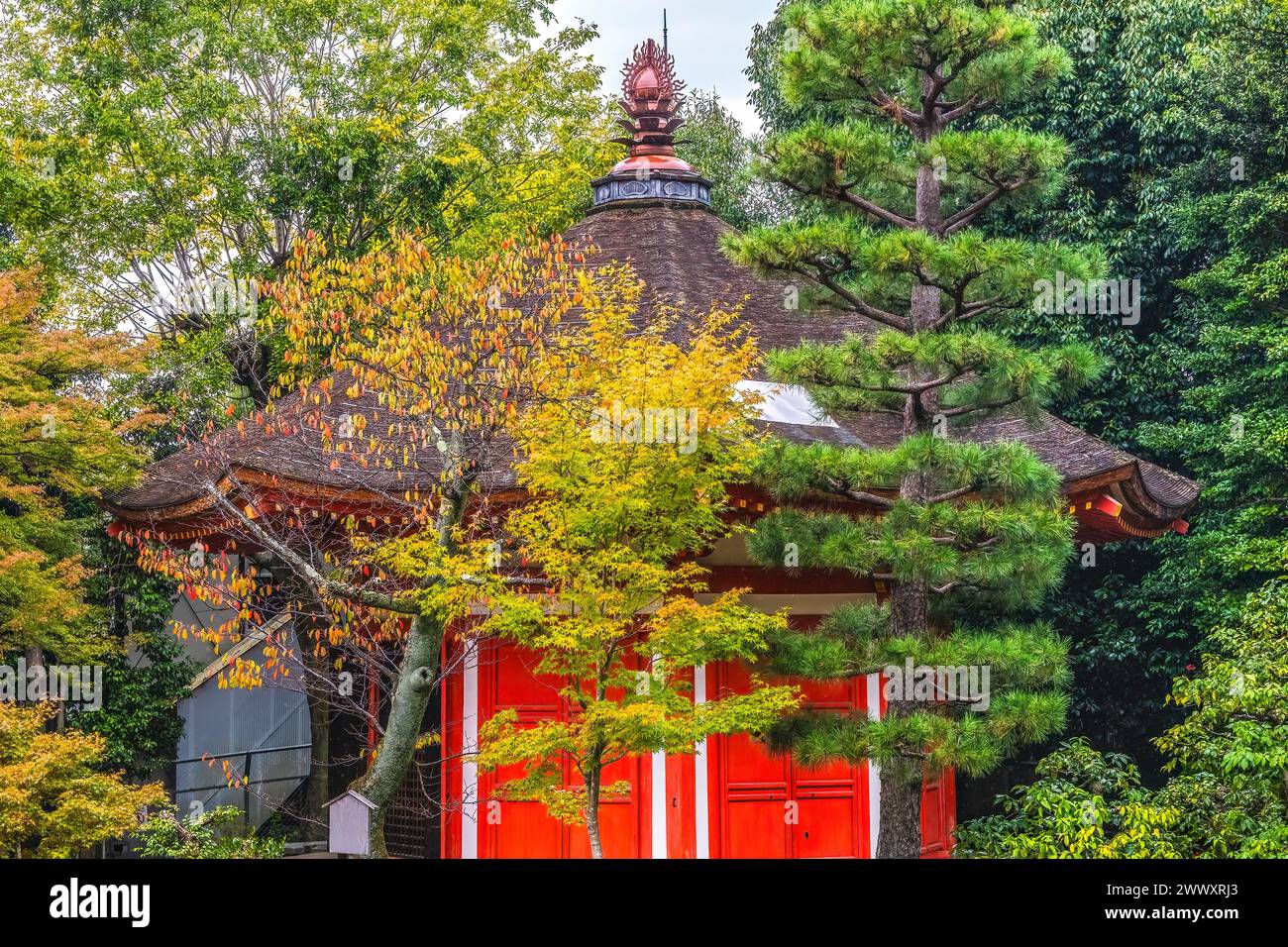 Coloful Red Small Budhist Temple Aizendo Yellow Fall Leaves Green Trees ...