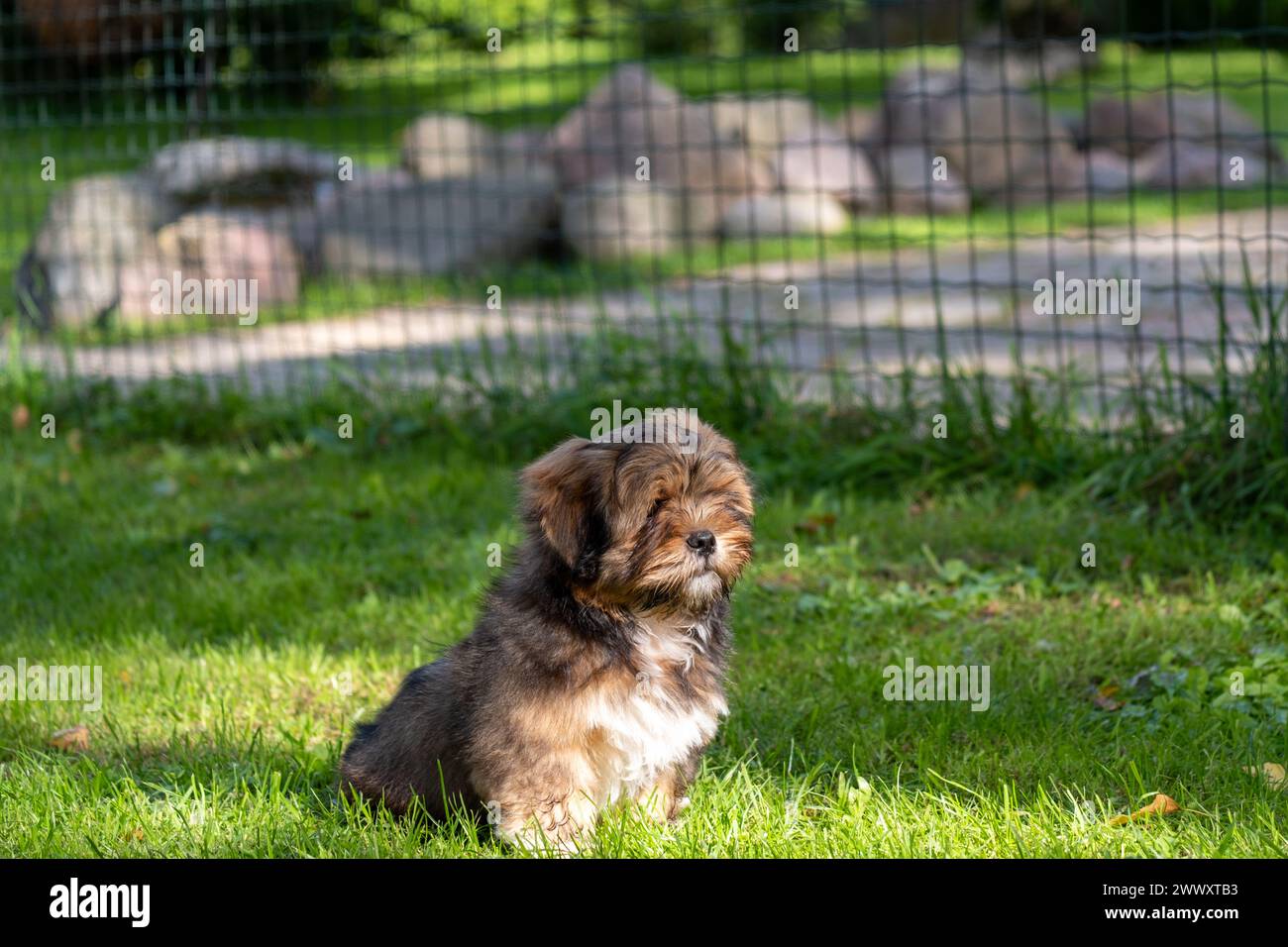 Adoption campaigns hi-res stock photography and images - Alamy
