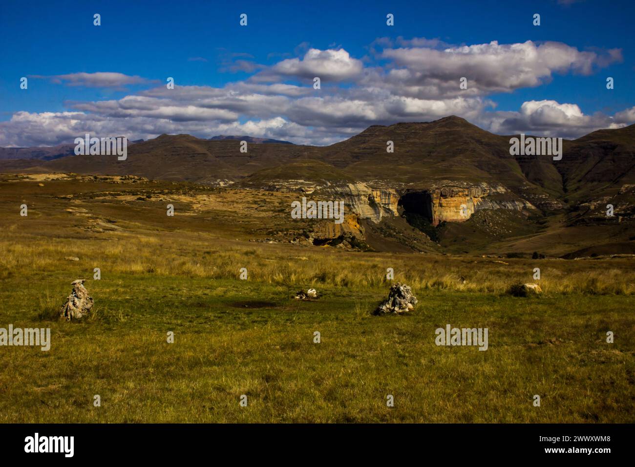 View over the Afroalpine grasslands with the peaks of the Drakensberg ...
