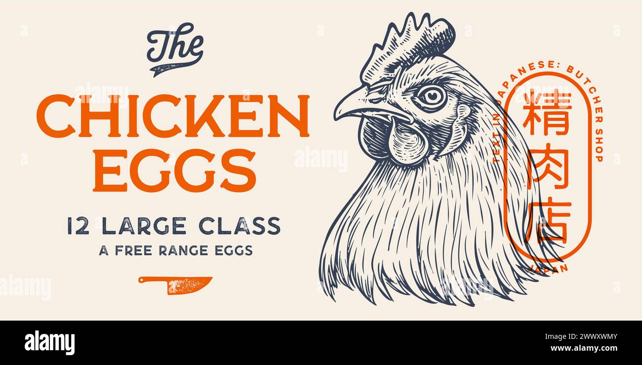 Cartoon chicken chicken drawing hi-res stock photography and images - Alamy