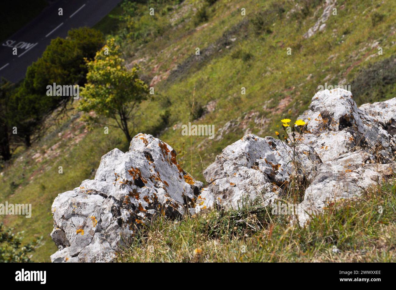 Weathered Carboniferous Limestone rocks on the steep sides of the ...