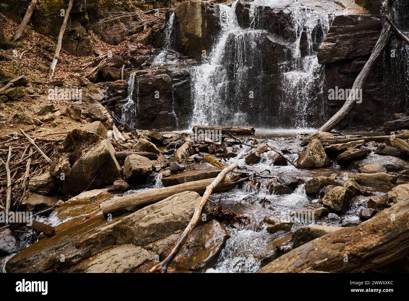 River stream waterfall in forest landscape. Tranquil waterfall scenery ...
