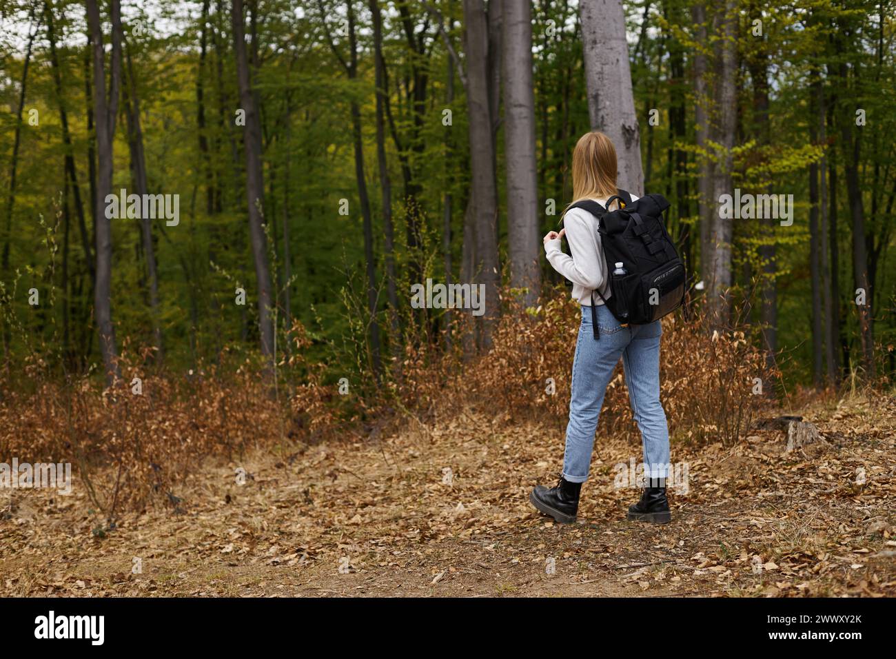 Back view of blonde woman adventurer walking through the forest ...