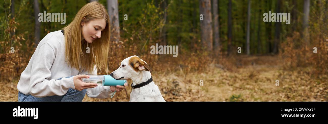 banner of female dog owner on forest walk with dog, giving water to her ...
