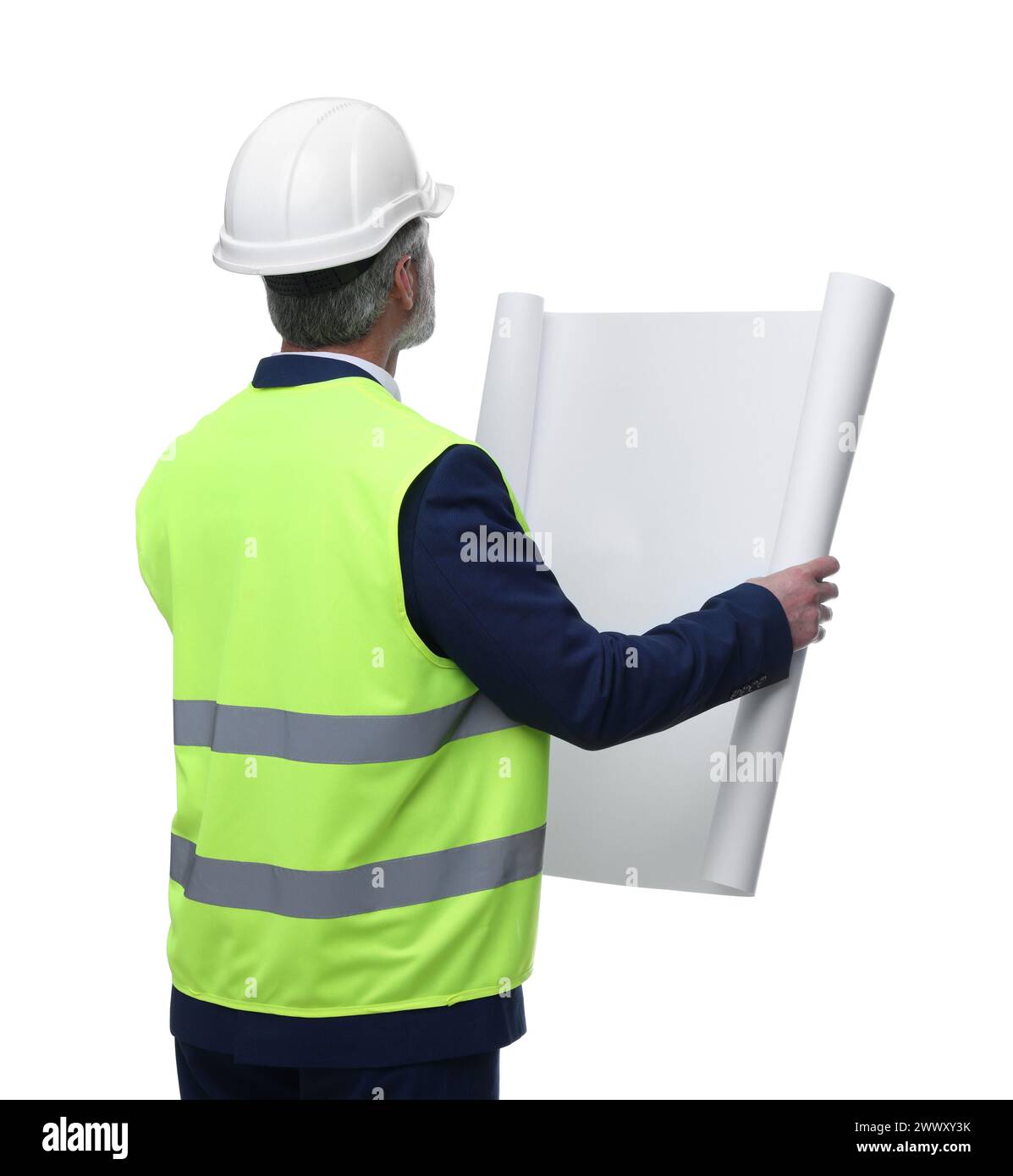 Architect in hard hat holding draft on white background, back view ...