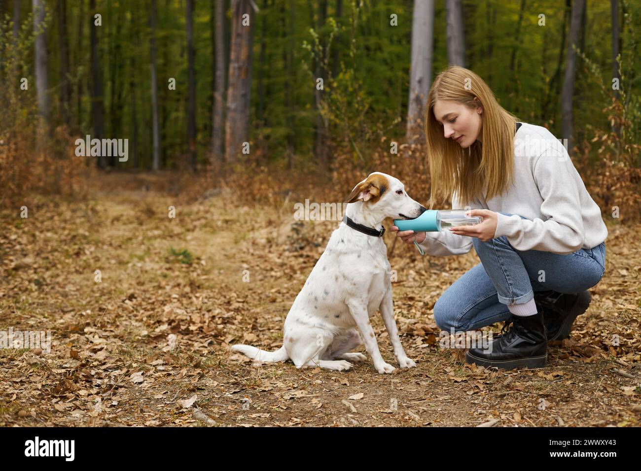 Loving female dog owner having walk with dog and giving water to her ...