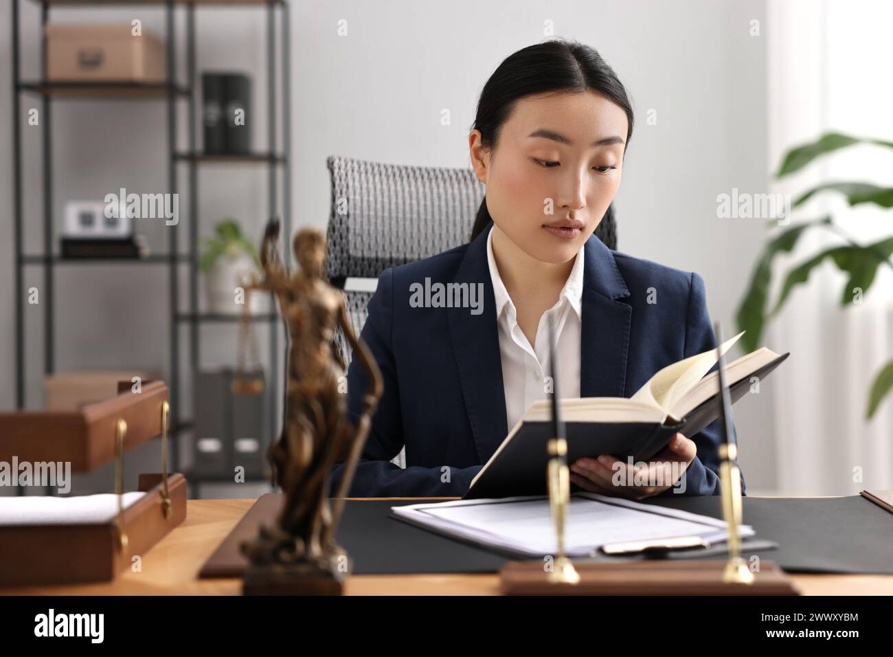 Woman judge reading book hi-res stock photography and images - Alamy