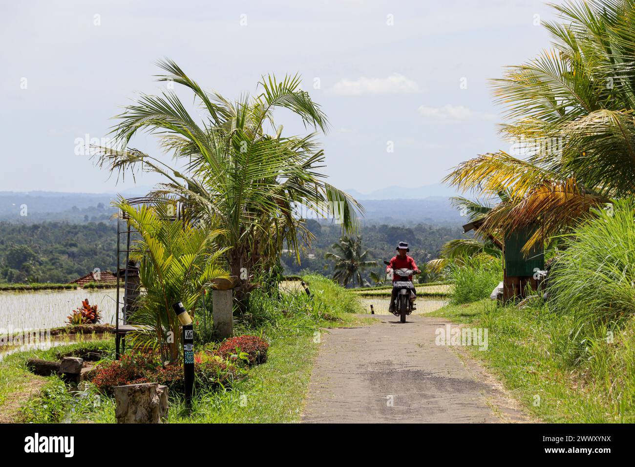 Discover the beauty of Indonesia's landscapes in Asia Stock Photo - Alamy
