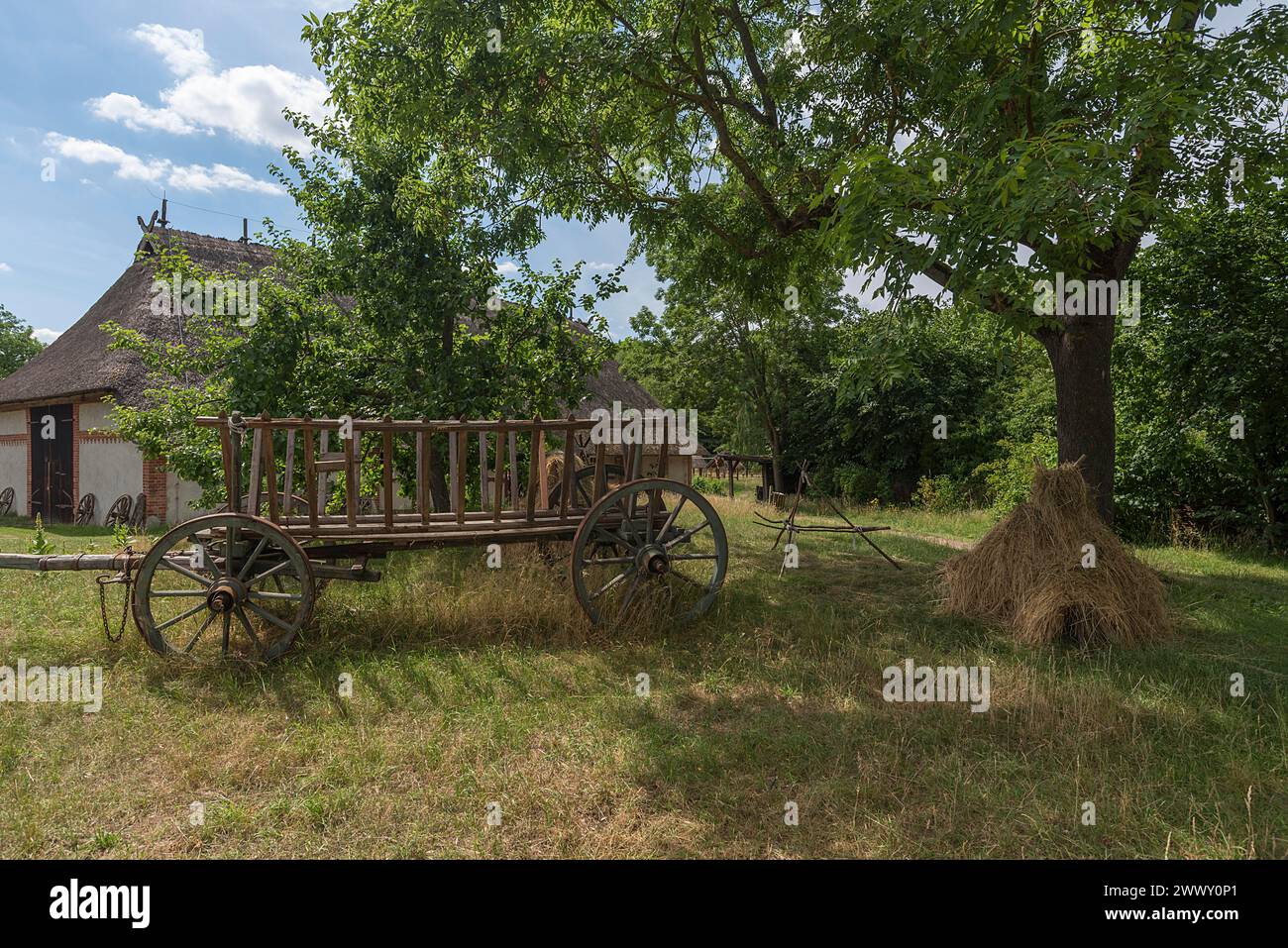 Ladder wagon in the yard, thatched barn at the back, Schwerin-Muess ...
