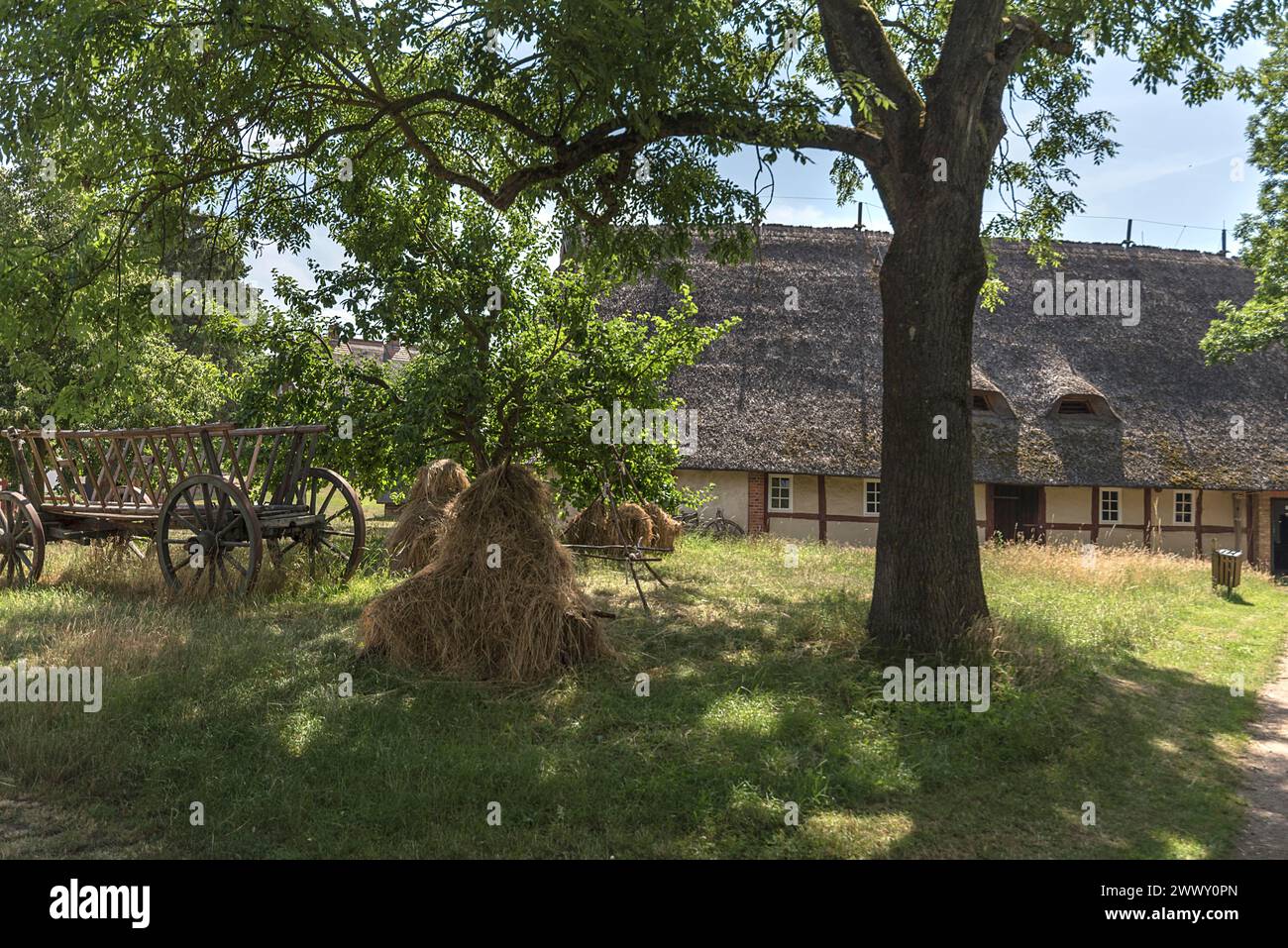 Hay wagon and sheaves of straw in the courtyard garden, behind a ...