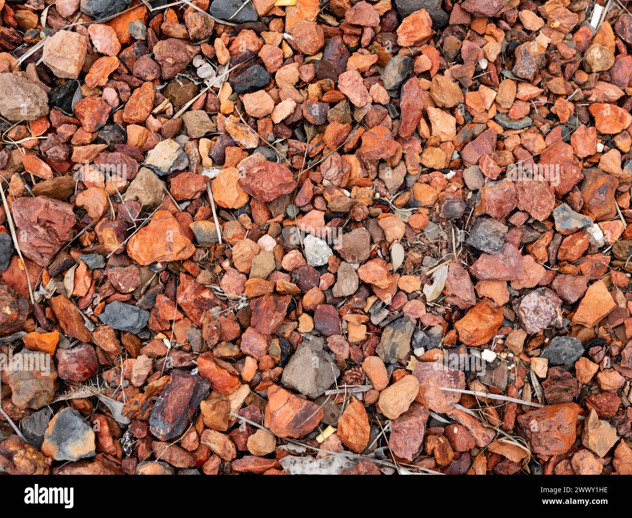 Lava rock aquarium hi-res stock photography and images - Alamy