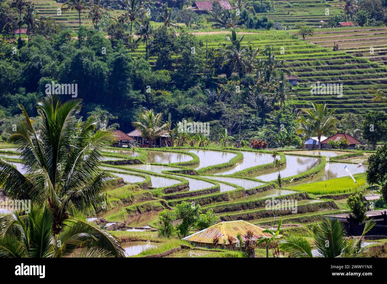 Discover the beauty of Indonesia's landscapes in Asia Stock Photo - Alamy