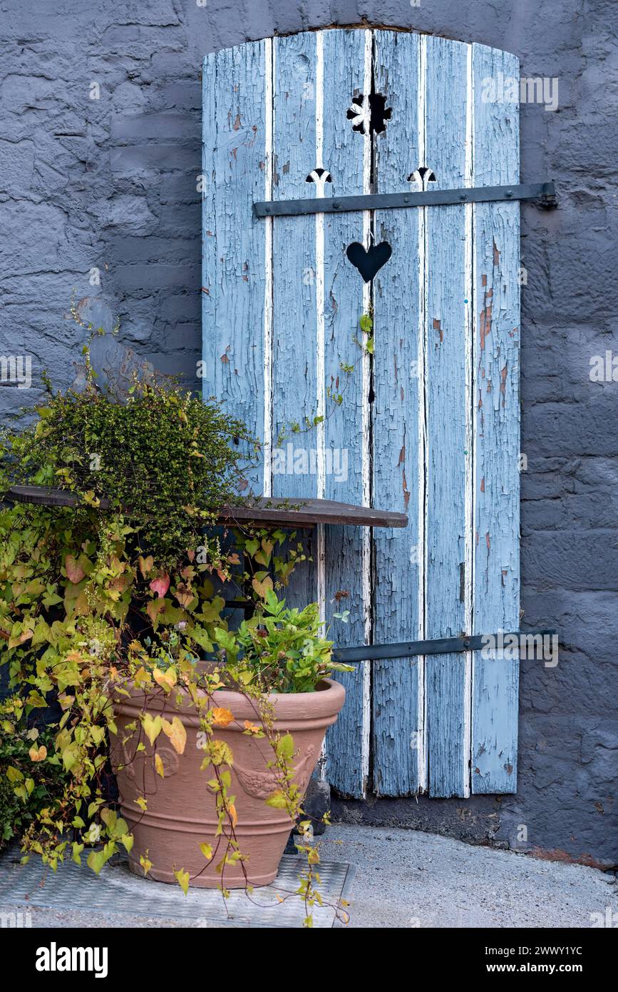 Old farmhouse, facade, decorated, flower pots, knotweed (Fallopia ...