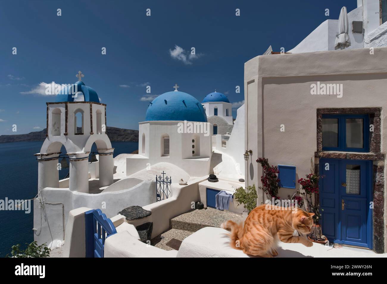 Churches with cat and mouse in Oia Santorini Greece, Animals KI Stock ...