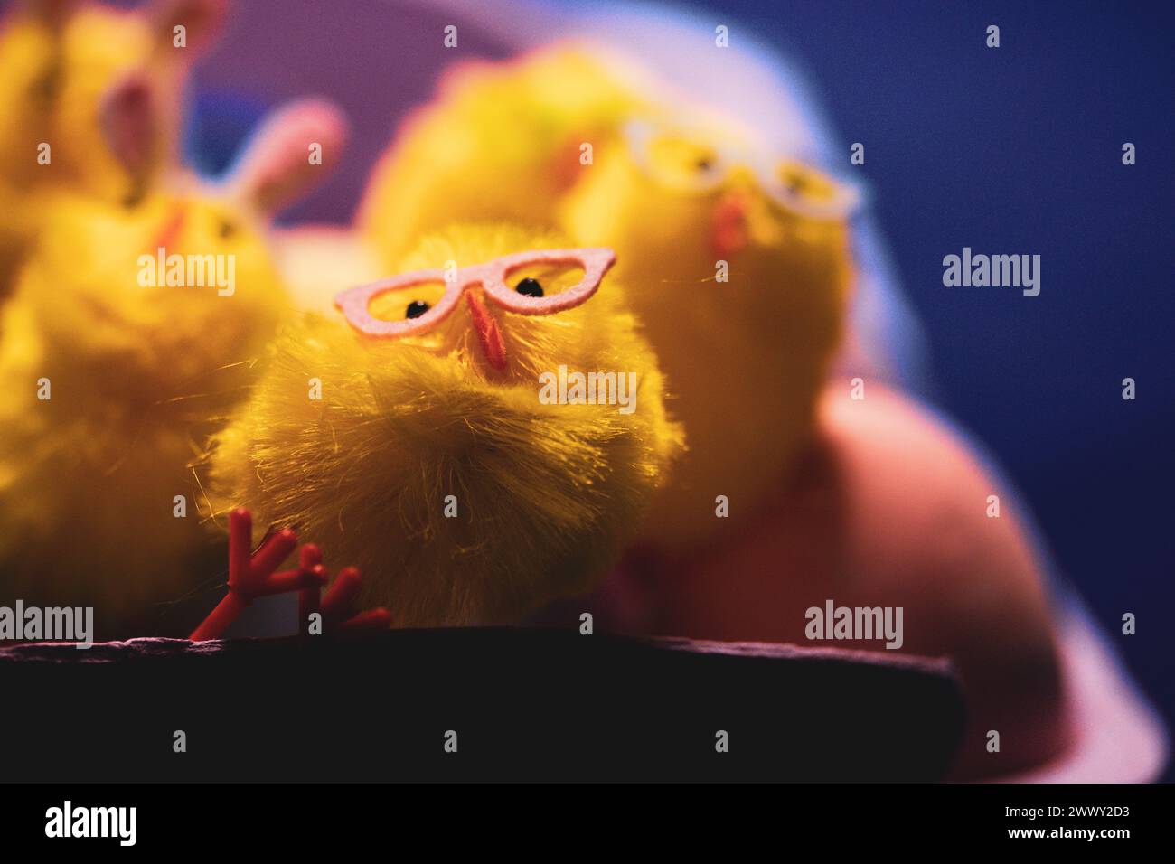 Stylish yellow cheerful Easter chickens in pink sunglasses celebrating ...