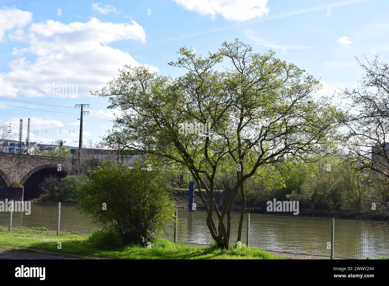 Mosel bridge in Koblenz Stock Photo - Alamy