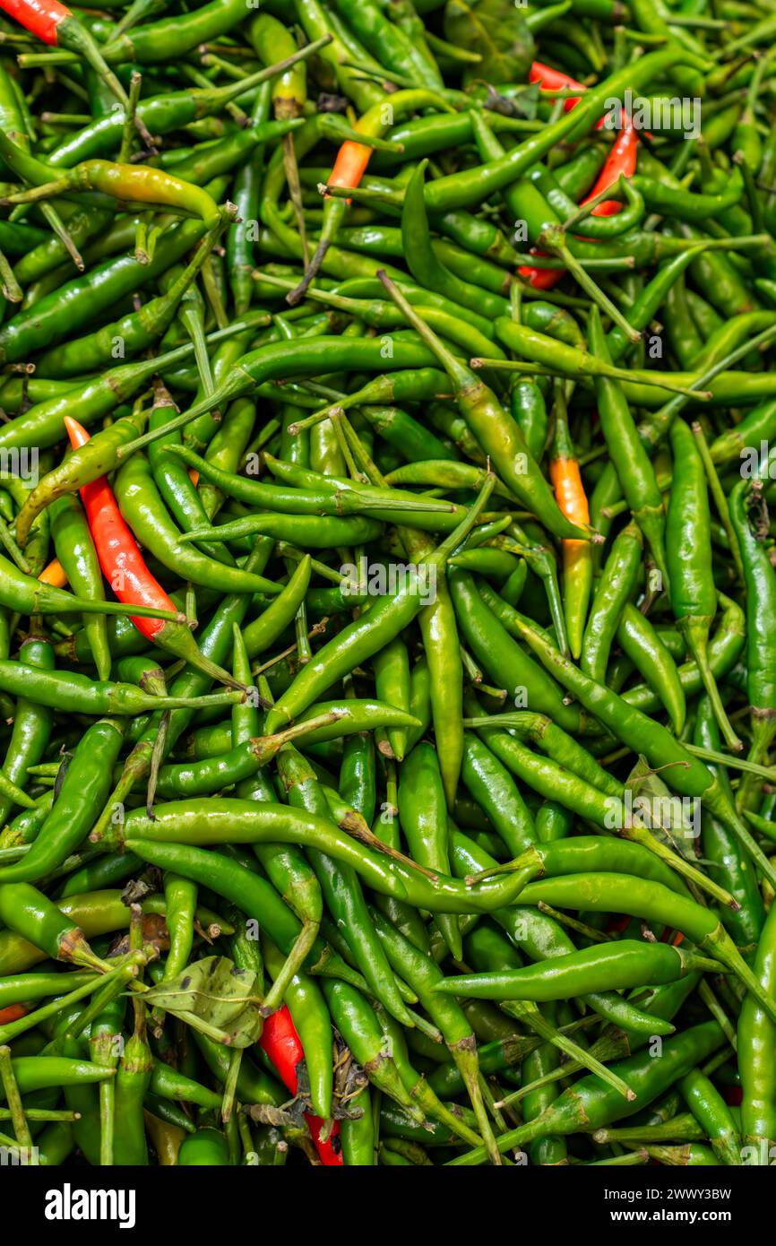 The group of green bird's eye chili or Thai chili is very spicy and is ...