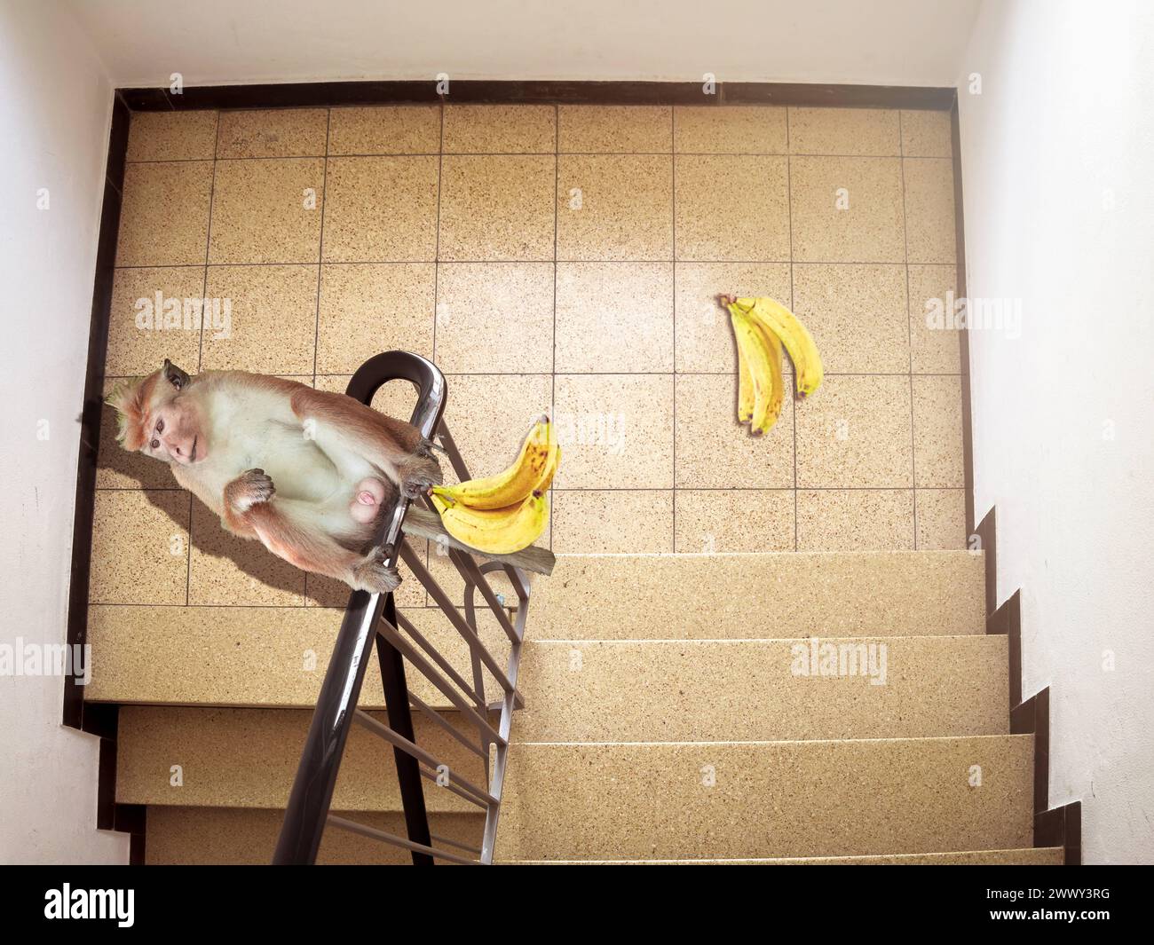 Treppenhaus und flur hi-res stock photography and images - Alamy