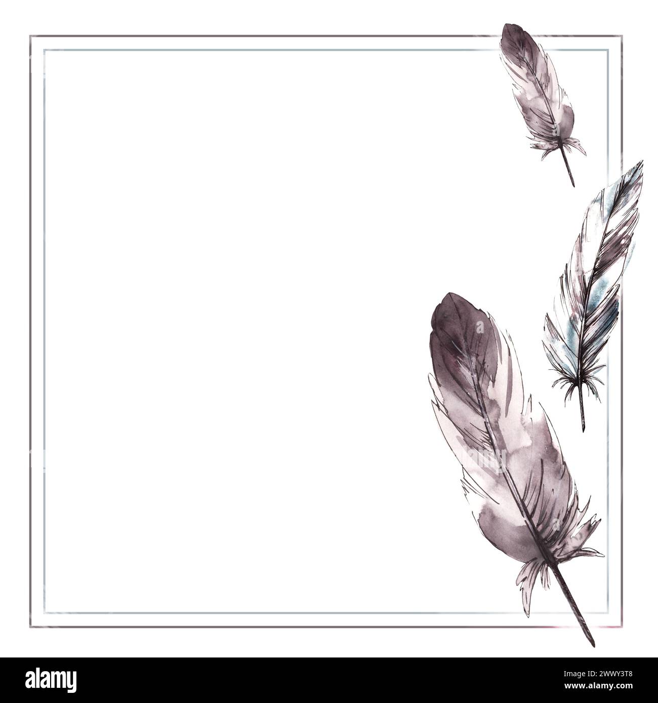 Watercolor hand drawn monochrome square frame. Bird grey gray black ...