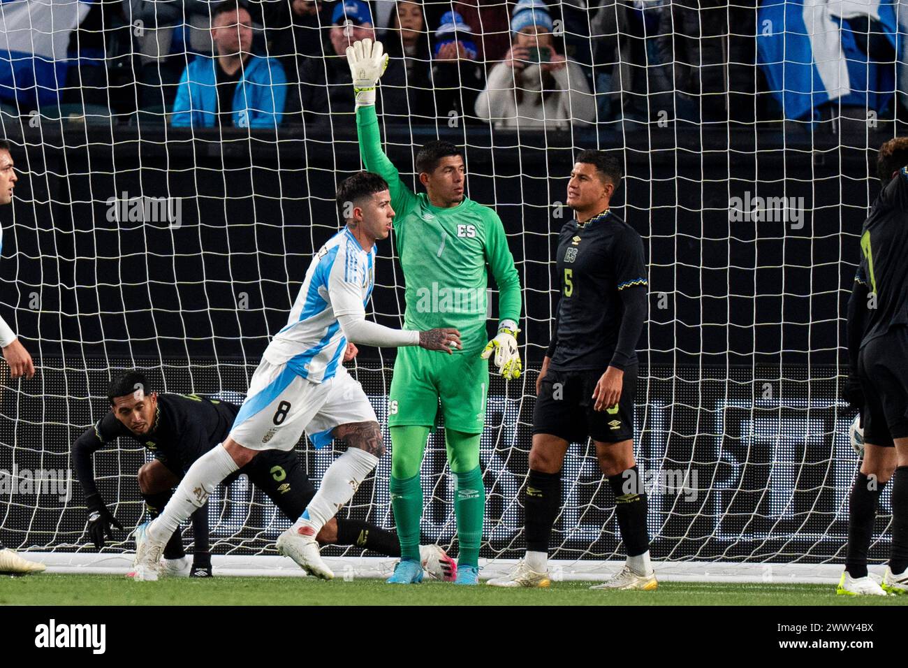 Argentina's Enzo Fernandez, left of center, reacts to scoring a goal on ...