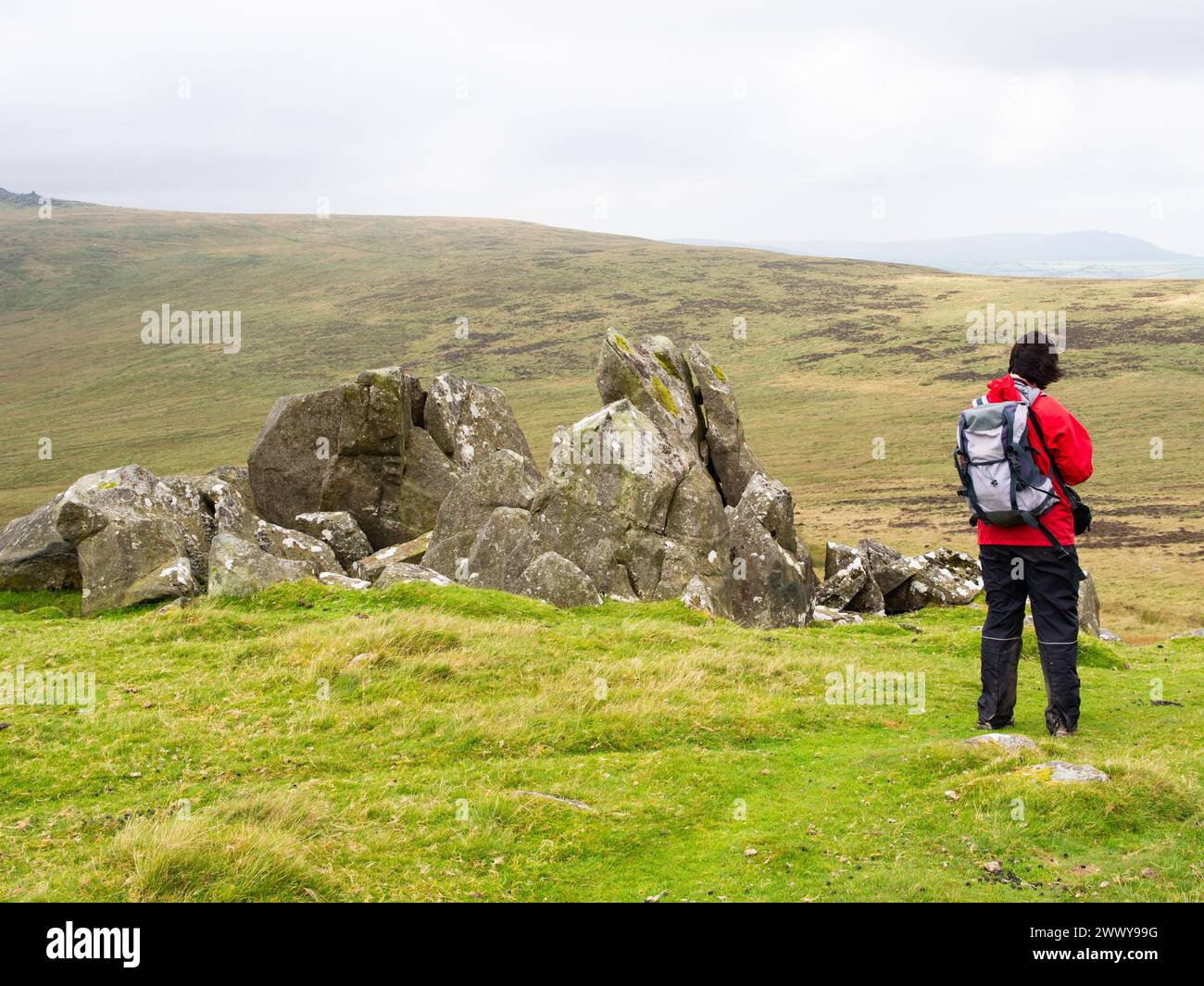The preseli mountains hi-res stock photography and images - Alamy