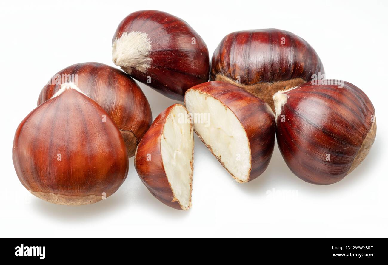 Edible sweet chestnuts with cut chestnut isolated on white background ...
