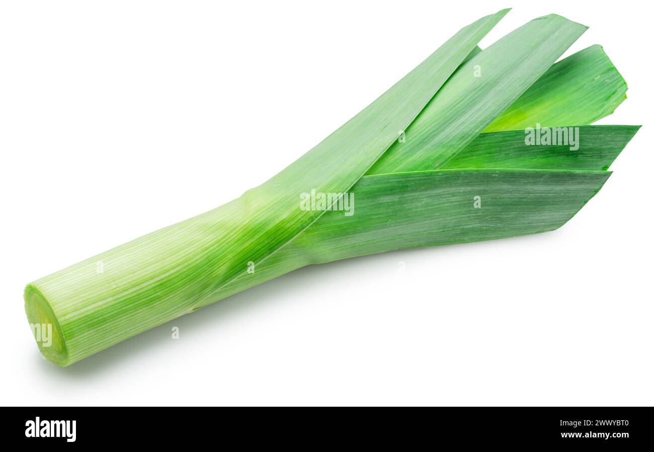 Fresh green leek stem isolated on white background. File contains ...