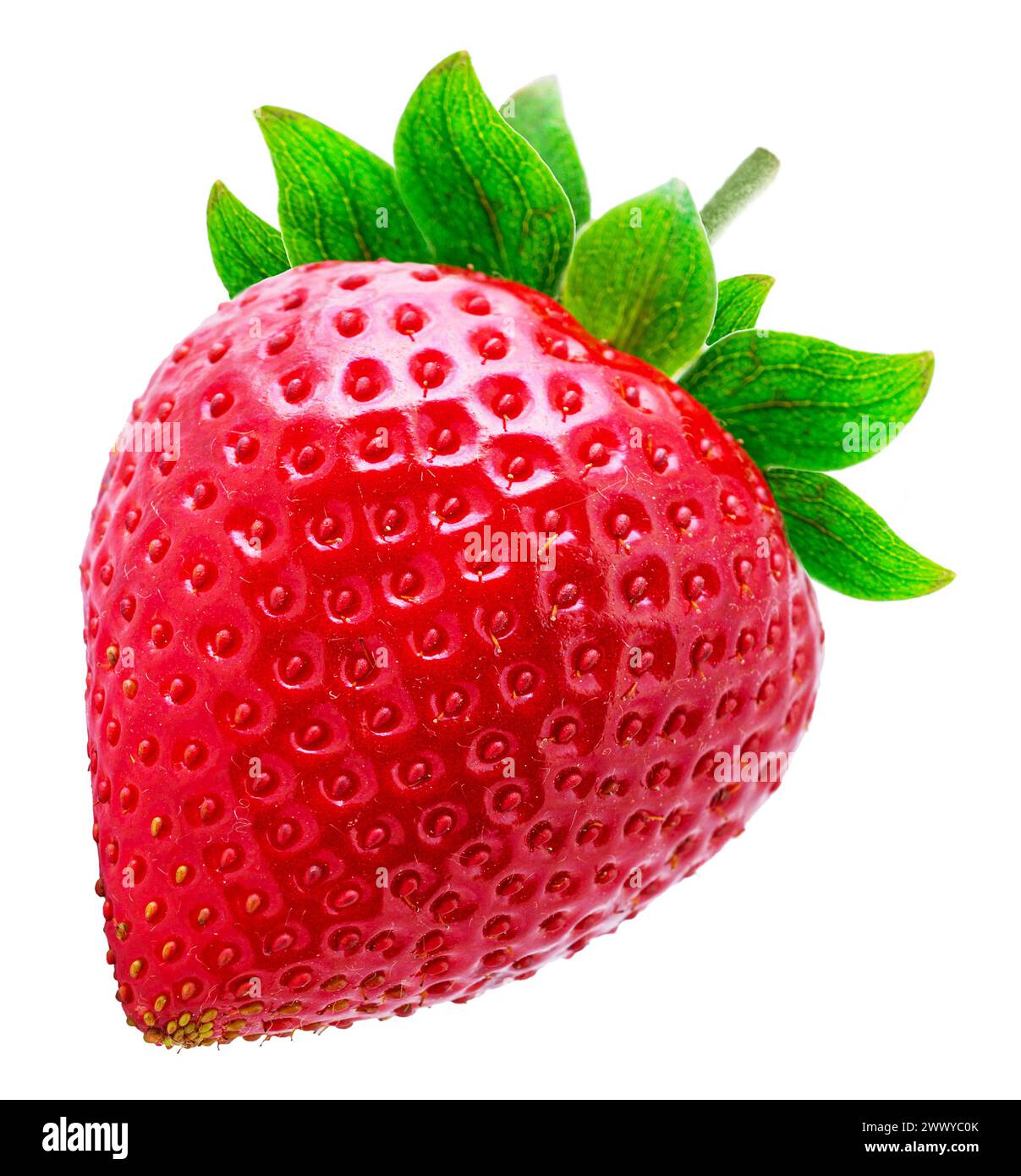 Ripe perfect strawberry isolated on white background. File contains ...