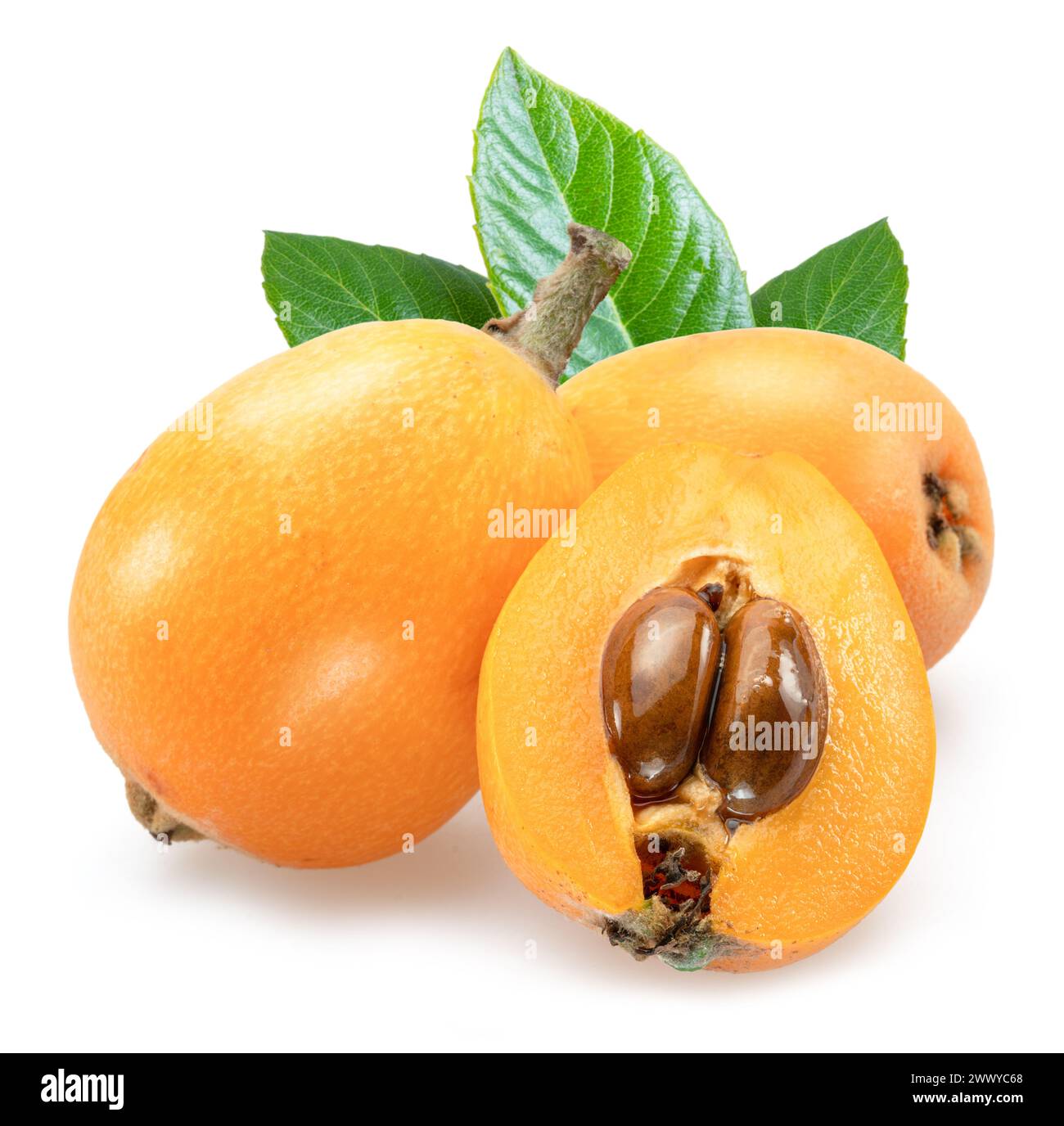 Ripe perfect loquats fruits with green leaves isolated on white ...