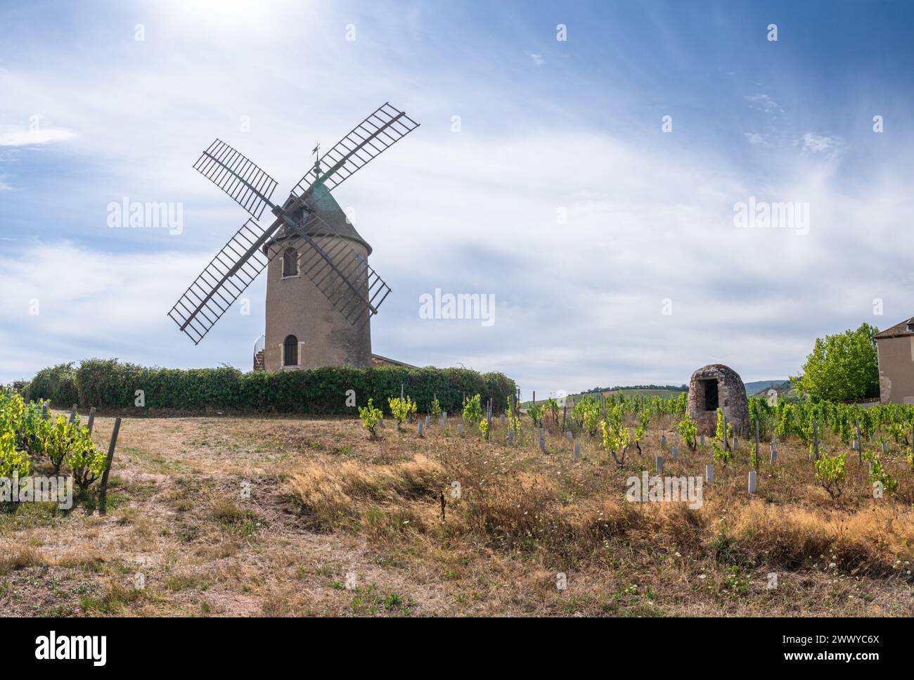 The eponymous windmill of famous french red wine situated near ...