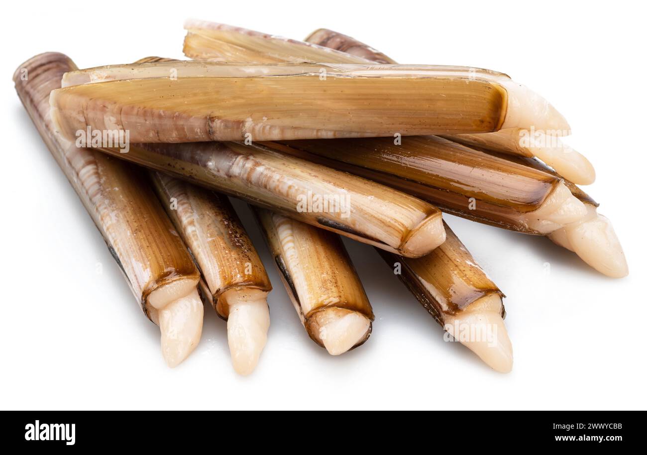 Edible raw razor clams isolated on white background. Delicacy food ...