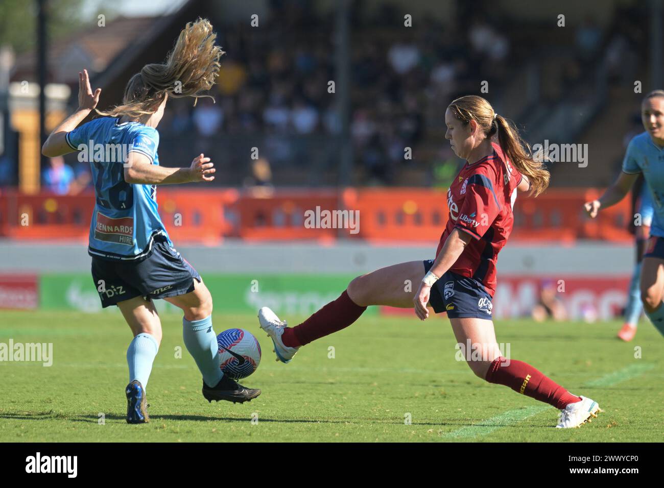 Elizabeth ray hi-res stock photography and images - Alamy