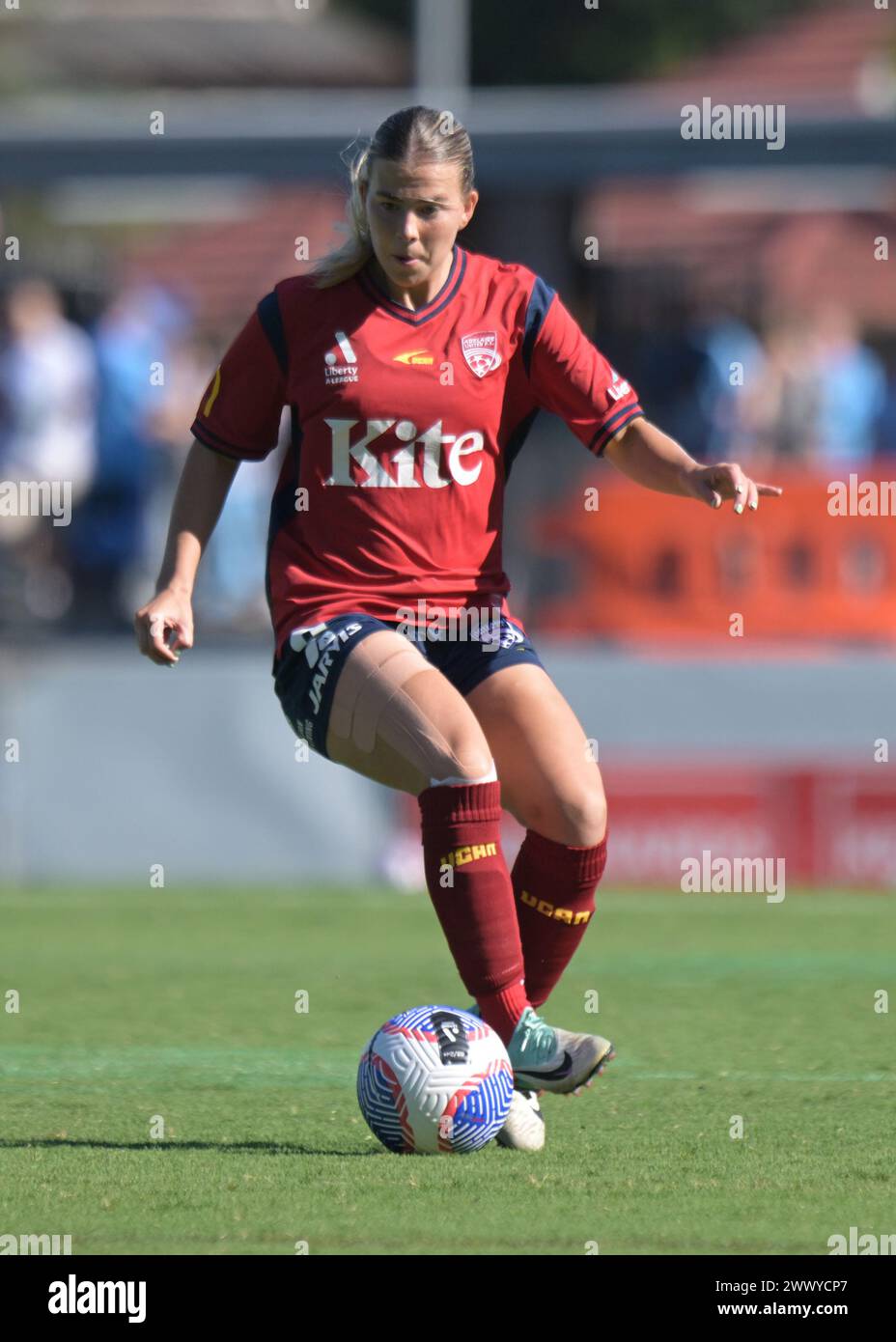 2023 24 season hi-res stock photography and images - Alamy