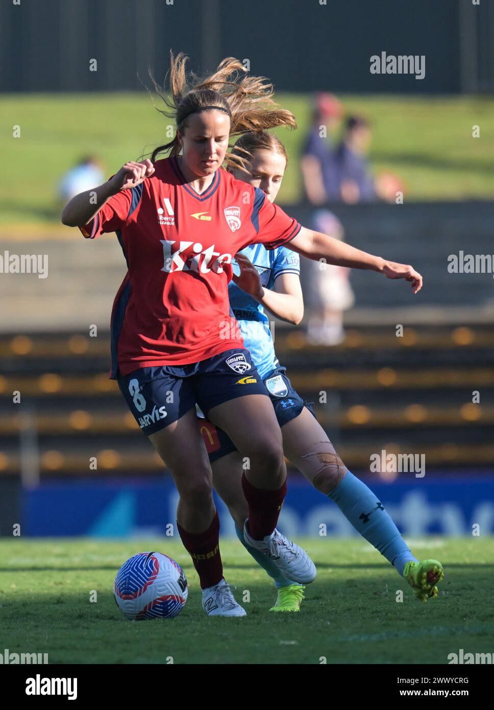 2023 24 season hi-res stock photography and images - Alamy